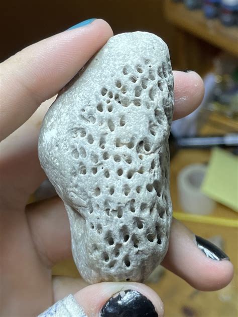 Devonian Worm Burrows Or Organ Pipe Coral Fossil Id The Fossil Forum
