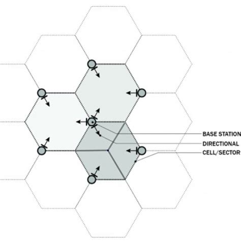 Cellular Network Organization Download Scientific Diagram