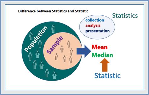 What Is Statistics 3 Examples Wikitekkee