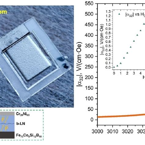 A Photo Of The Top And Bottom View Of The ME MEMS Sample And Download Scientific Diagram