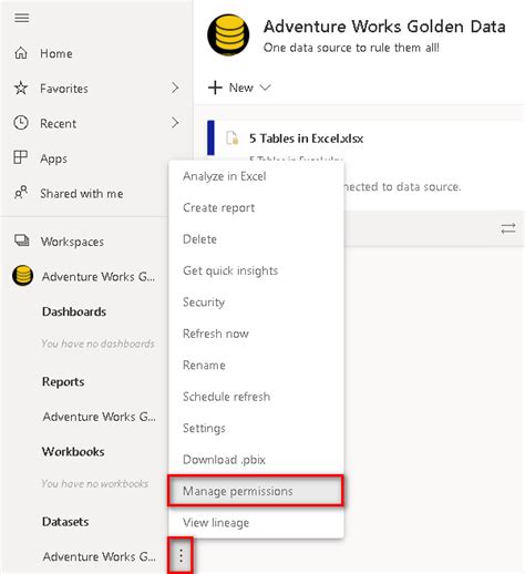 New Power Bi Reports From A Golden Dataset Excelerator Bi