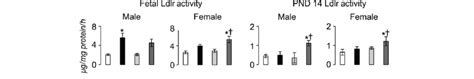 Hepatocyte LDL Uptake Ex Vivo P Compared To Sex Matched Download Scientific Diagram