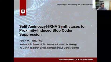 Split Aminoacyl Trna Synthetases For Proximity Induced Stop Codon Suppression Youtube