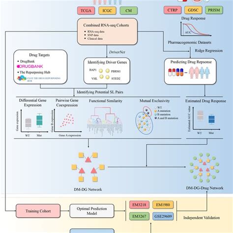 Flow Chart Of Identification Of Potential Synthetic Lethal Interactions
