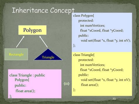 Ppt Inheritance Powerpoint Presentation Free Download Id3109366
