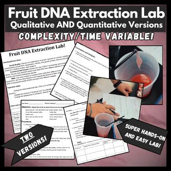 Fruit DNA Extraction Lab Easy Set Up By Page By Page Resources