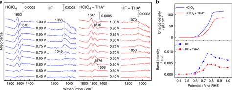 Infrared Spectroscopic Measurement Of Species Adsorbed On Download Scientific Diagram