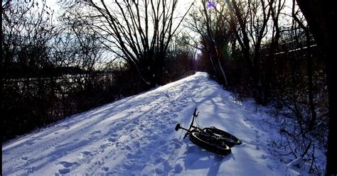 Guitar Ted Productions Bud Lust