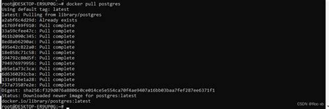 Docker安装postgresql详细教程docker Pull Postgres Csdn博客