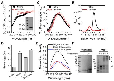 The Intrinsically Disordered C Terminal Domain Triggers Nucleolar Localization And Function