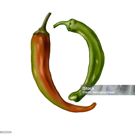 흰색 배경에 녹색 줄기가있는 두 개의 뜨거운 칠리 페퍼의 수채화 사실적인 그림 두 개의 녹색과 빨간색 페페로니 클로즈업 세트