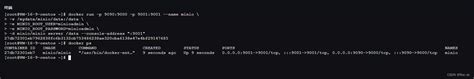 Docker安装MinIO教程 docker 安装 minio CSDN博客