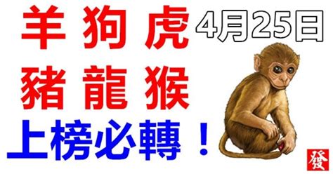 4月25日，12生肖周運勢！羊、狗、虎、豬、龍、猴！必轉！