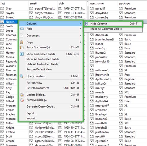 View MongoDB Data Table View Studio T