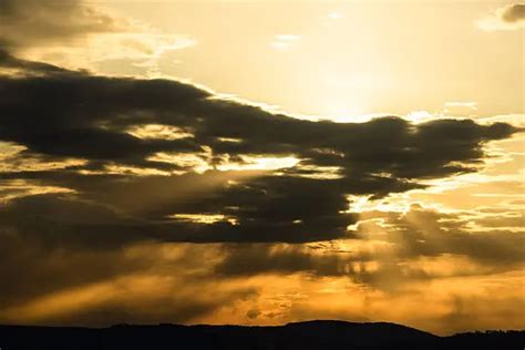 Tyndall Effect Pictures Download Free Images On Unsplash