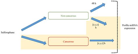 A Basic Overview Of The Mirna Profiling Experiments Carried Out By Download Scientific Diagram