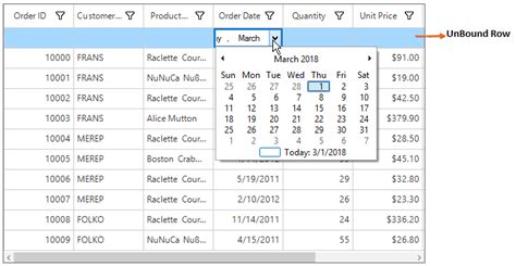 Unbound Row In Windows Forms Datagrid Control Syncfusion