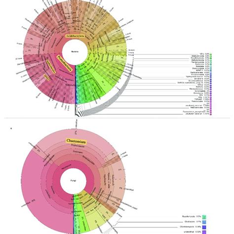 Species Composition Of Bacteria A And Fungi B The Prominent Part Download Scientific