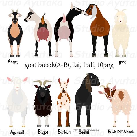 Types Of Goat