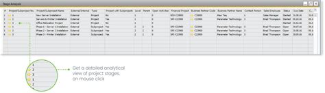 Project Management Solution With SAP Business One India B Express