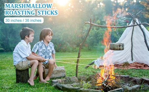 120 Pcs Marshmallow Roasting Sticks Smores Sticks For