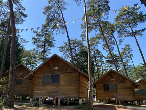 宮島アオミキャンプ場 付知町観光協会