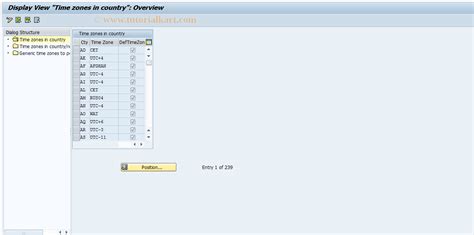 Stzgd Sap Tcode Time Zone Cust Disp Geo Data
