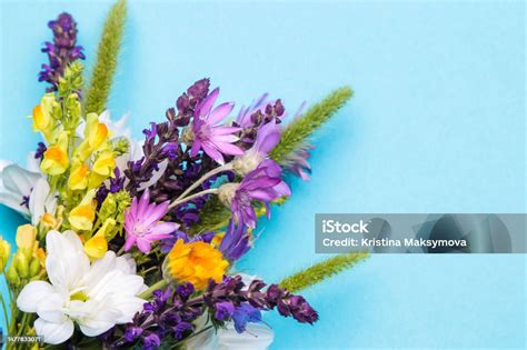 부드러운 하늘색 배경에 다양한 여름 야생화의 꽃다발 수레 국화 세이지 및 미나리 0명에 대한 스톡 사진 및 기타 이미지 0명 개화기 결혼식 Istock