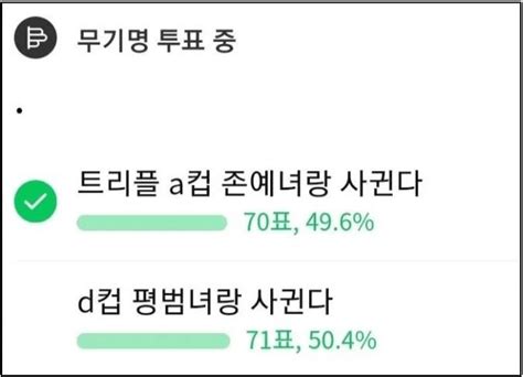 트리플A컵 존예녀 vs 참젖핑두D컵 평범녀 유머 움짤 이슈 에펨코리아