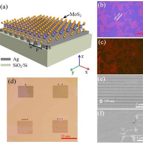 A Three Dimensional 3d Schematic Of The Plasmonic Mos2 Hybrid Download Scientific Diagram