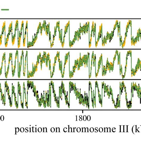 Representative Polymerase Tracks Polδ Polε And Polα Tracks Across The