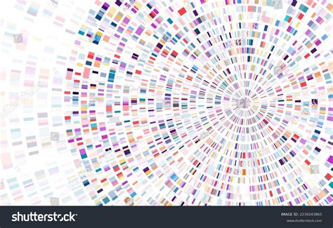 Dna Test Infographic Genome Sequence Map Stock Vector Royalty Free