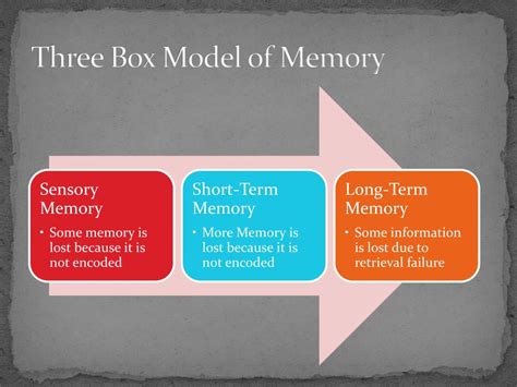 Ppt Chapter 9 Memory Powerpoint Presentation Free Download Id 2629025