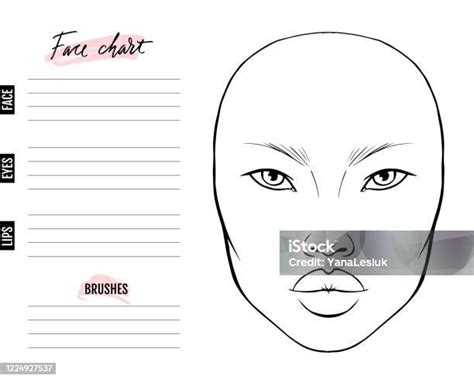 얼굴 차트 공백입니다 메이크업 아티스트 벡터 템플릿입니다 0명에 대한 스톡 벡터 아트 및 기타 이미지 0명 검은색 공란 Istock