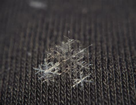 Snowflake Big On The Grey Background Stock Image Image Of Microscopic Macro 101801159