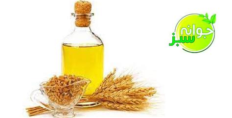 روغن جوانه گندم و فواید بی نظیر آن برای پوست و مو آموزشگاه جوانه سبز