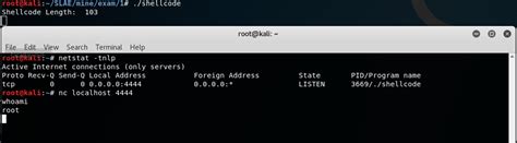 Securitytube Linux Assembly Expert Slae Assignment 1