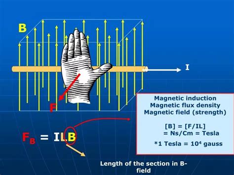Ppt F B I L B Powerpoint Presentation Free Download Id5579263