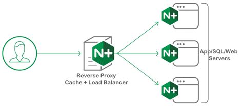 Nginx Reverse Proxy On Debian Unblog Tutorials