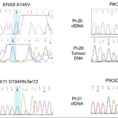 Electropherogram Showing Validation Of Variants Using Sanger Download Scientific Diagram