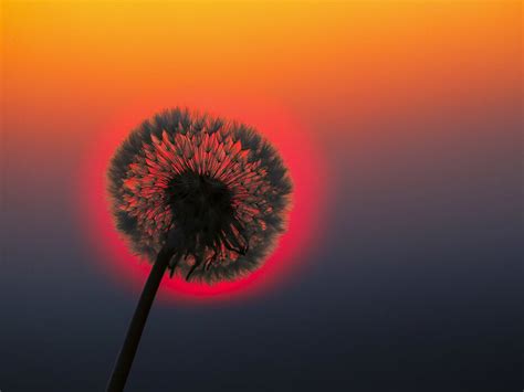 Converttomodel主播：免费直播性爱表演和聊天 Stripchat