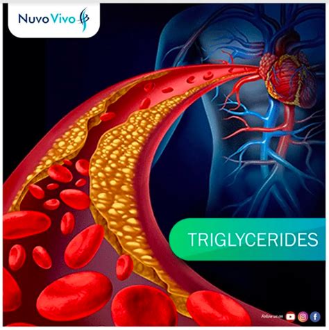 Triglycerides NuvoVivo Reverse Your Age Lifestyle Diseases