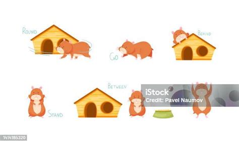 어린이 교육을위한 시각 자료 장소와 동사의 영어 전치사를 보여주는 재미있는 햄스터 세트 벡터 일러스트 레이 션 가축에 대한 스톡 벡터 아트 및 기타 이미지 Istock