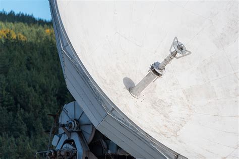 숲 자연 감시 스파이 기술 모바일 안테나 아름다운 화창한 가을 날에 숨겨진 태양 전파 망원경 0명에 대한 스톡 사진 및 기타 이미지 Istock