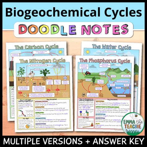 Biogeochemical Cycles Doodle Notes Emmatheteachie