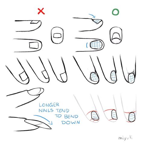 Miyuli みゆり On Twitter Notes On Drawing Hands And Nails Nail