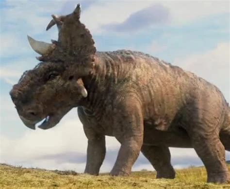 Major Walking With Wikis Fandom