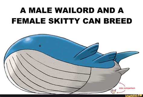 Skitty And Wailord Breeding
