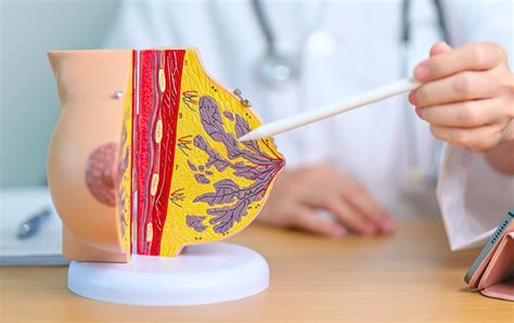 Inverted Nipples And Nipple Aesthetic Surgery Rememore