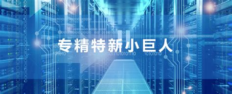 精实测控通过第四批国家专精特新“小巨人”企业认定 精实测控技术股份有限公司
